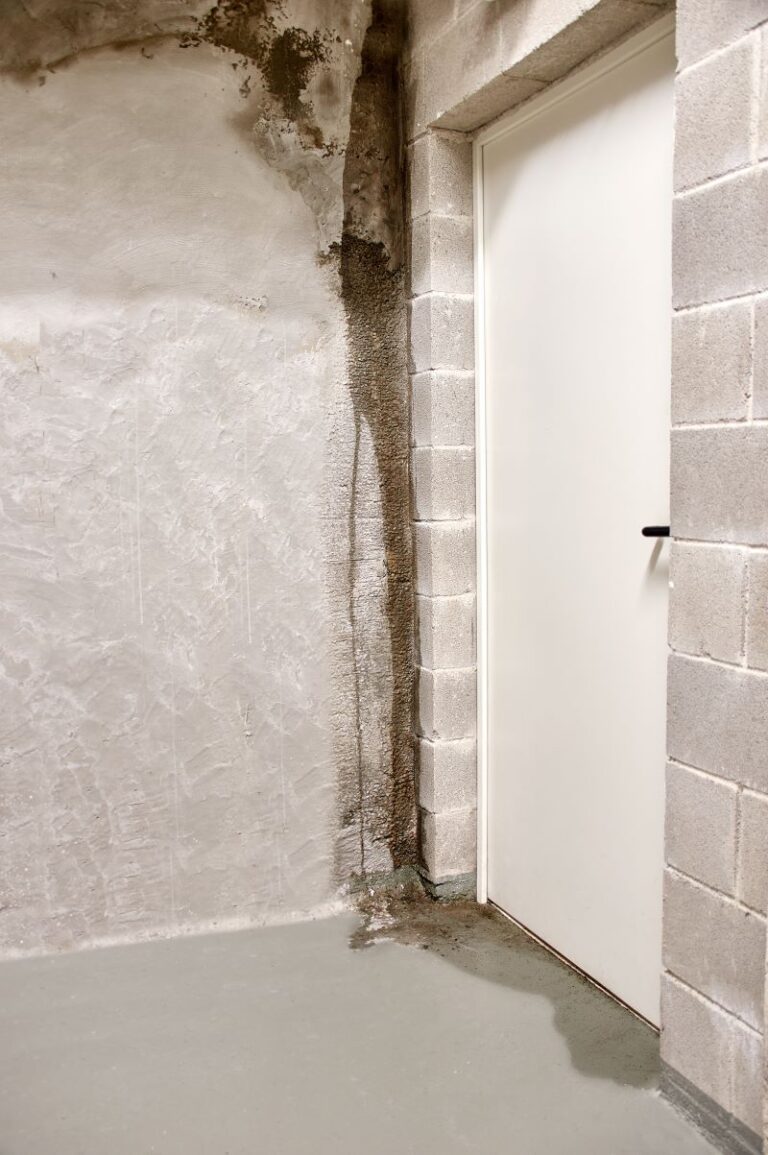 Your Ultimate Guide to Basement Waterproofing Solutions - SPIRE ...